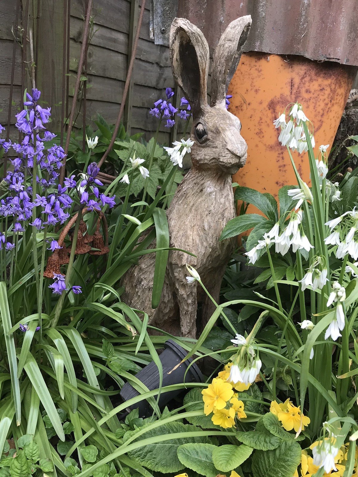 Flowers, hares and rabbits x