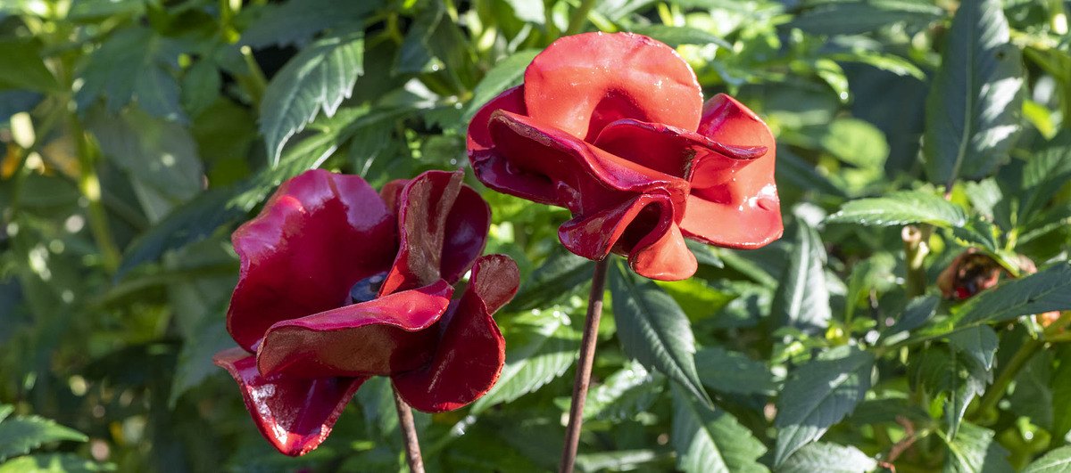 British Legion Poppy Appeal