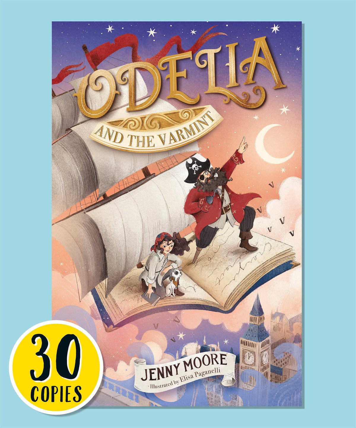 Class Set - 30 copies - Odelia and the Varmint