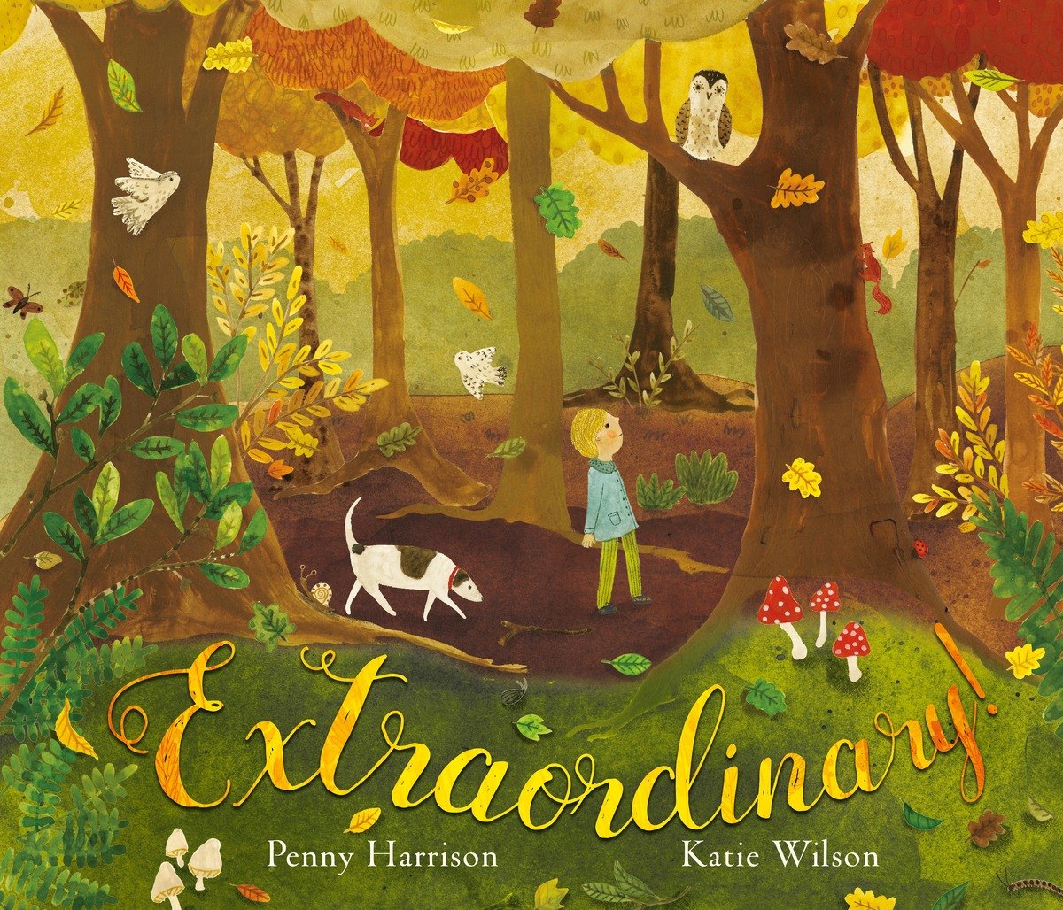 Appreciating Quiet Time with Extraordinary