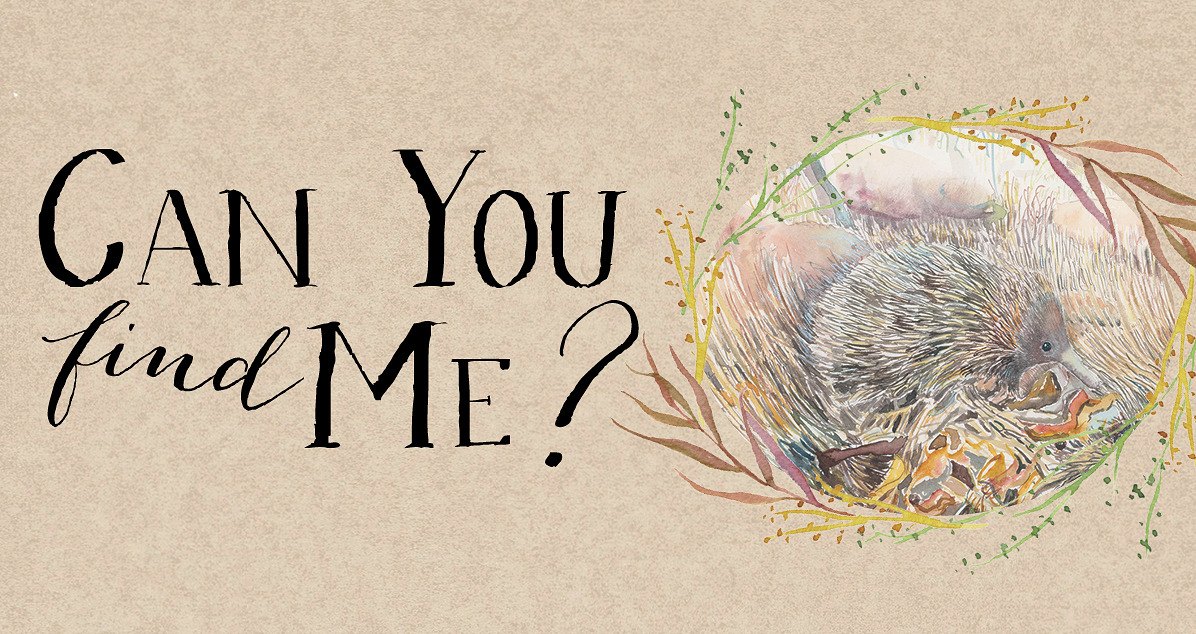 Can You Find Me? selected as a Notable Book for 2018 by the CBCA