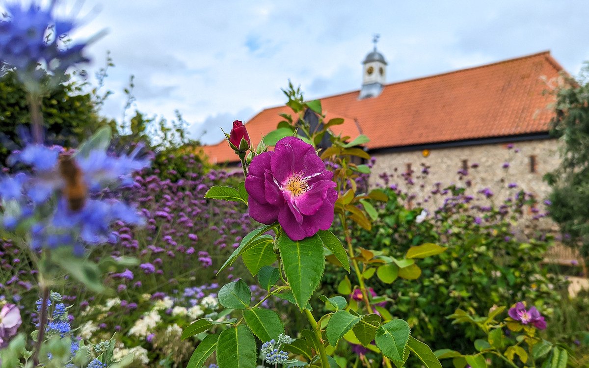 News - Inside Publications