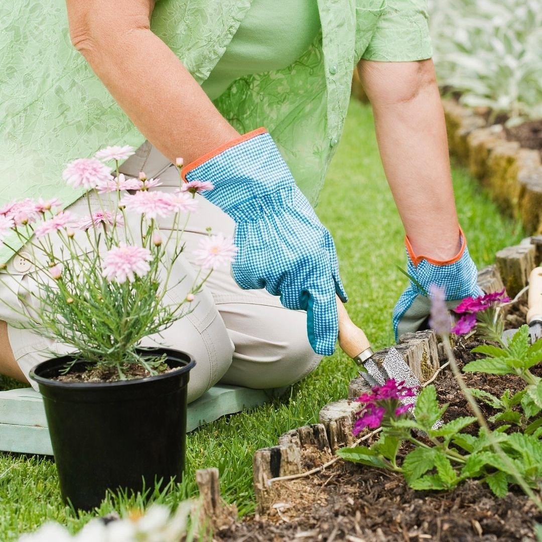 Gardening Advice & Inspiration | Fargro Home and Garden