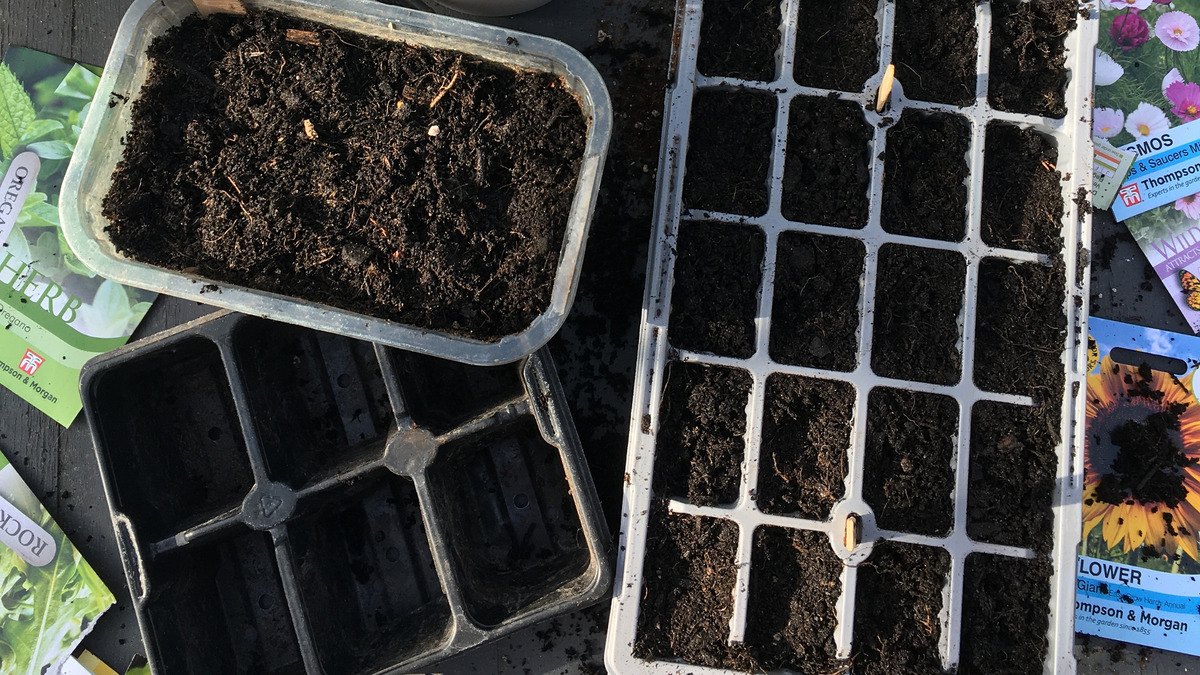 Gardening Advice & Inspiration | Fargro Home and Garden