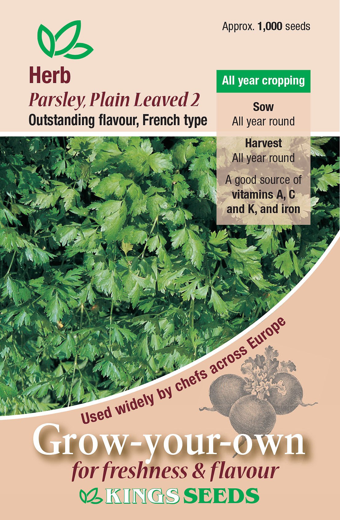 Herb Parsley Plain Leaved 2 (French) Seeds