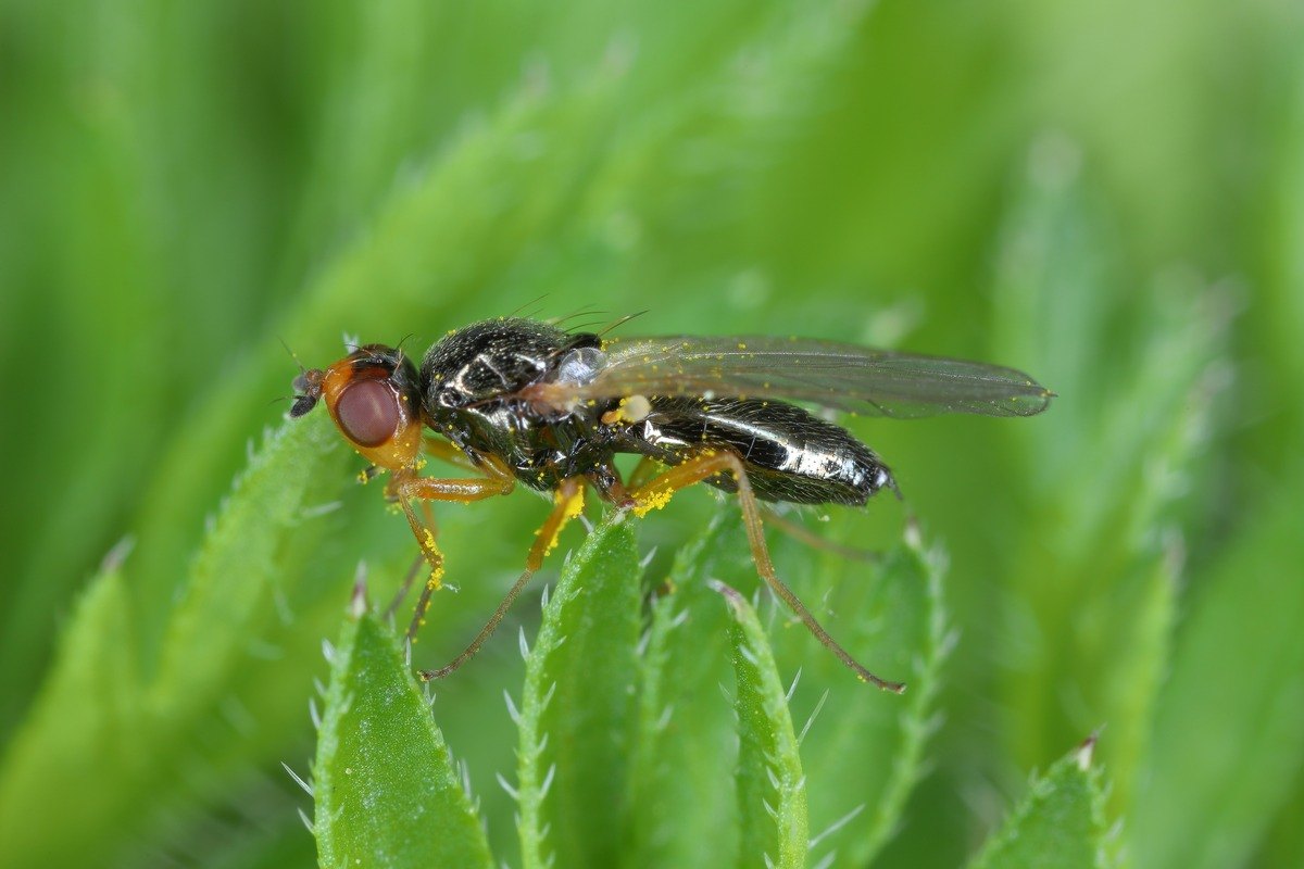 Gardening Advice & Inspiration | Fargro Home and Garden