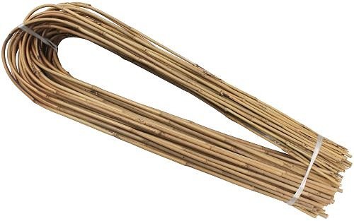 Set of 10, 3ft / 91.4 cm, U Shaped Bamboo Canes, Strong Support for ...