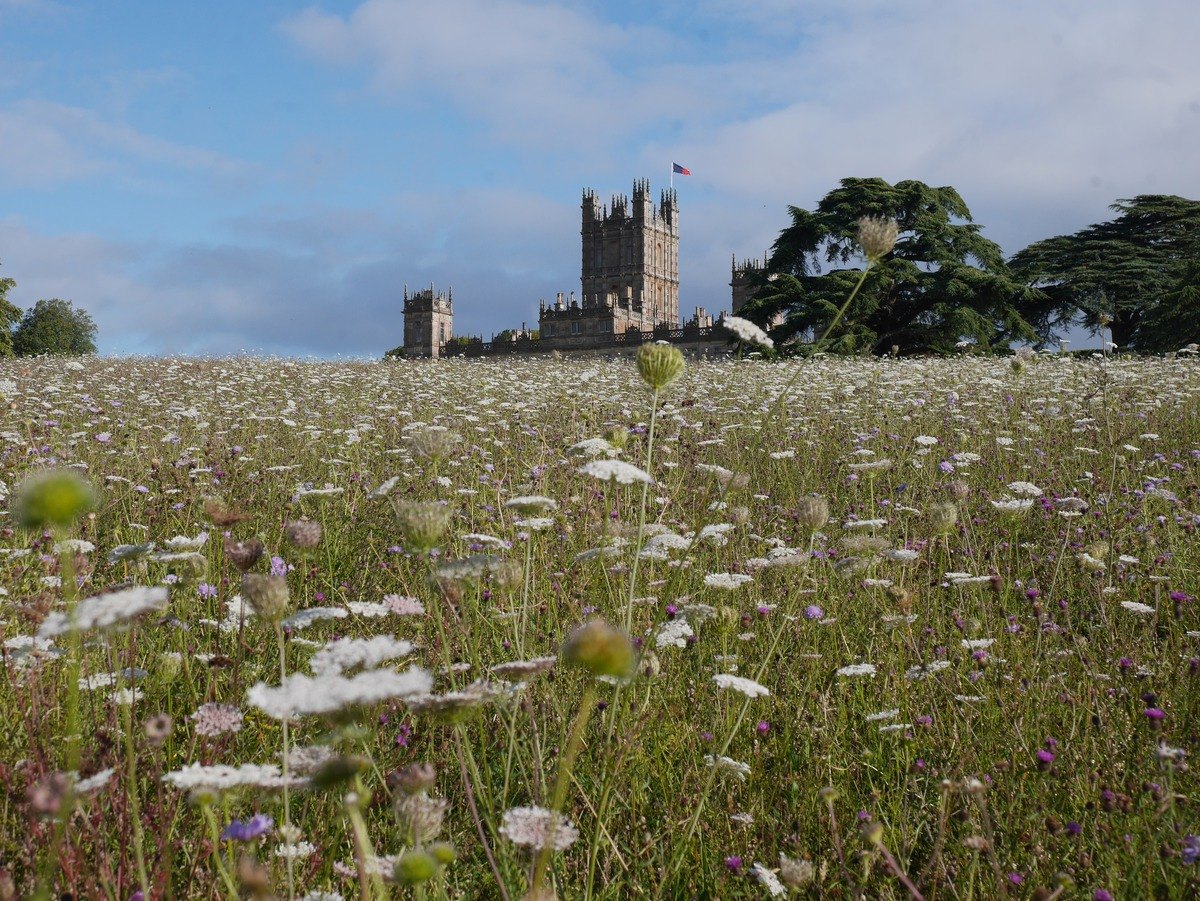 INDUSTRY INSIDERS: Highclare Castle