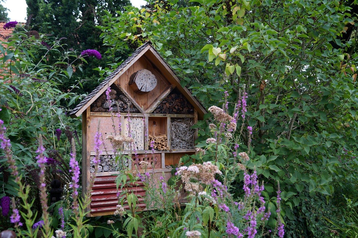 How to make your own bug hotel