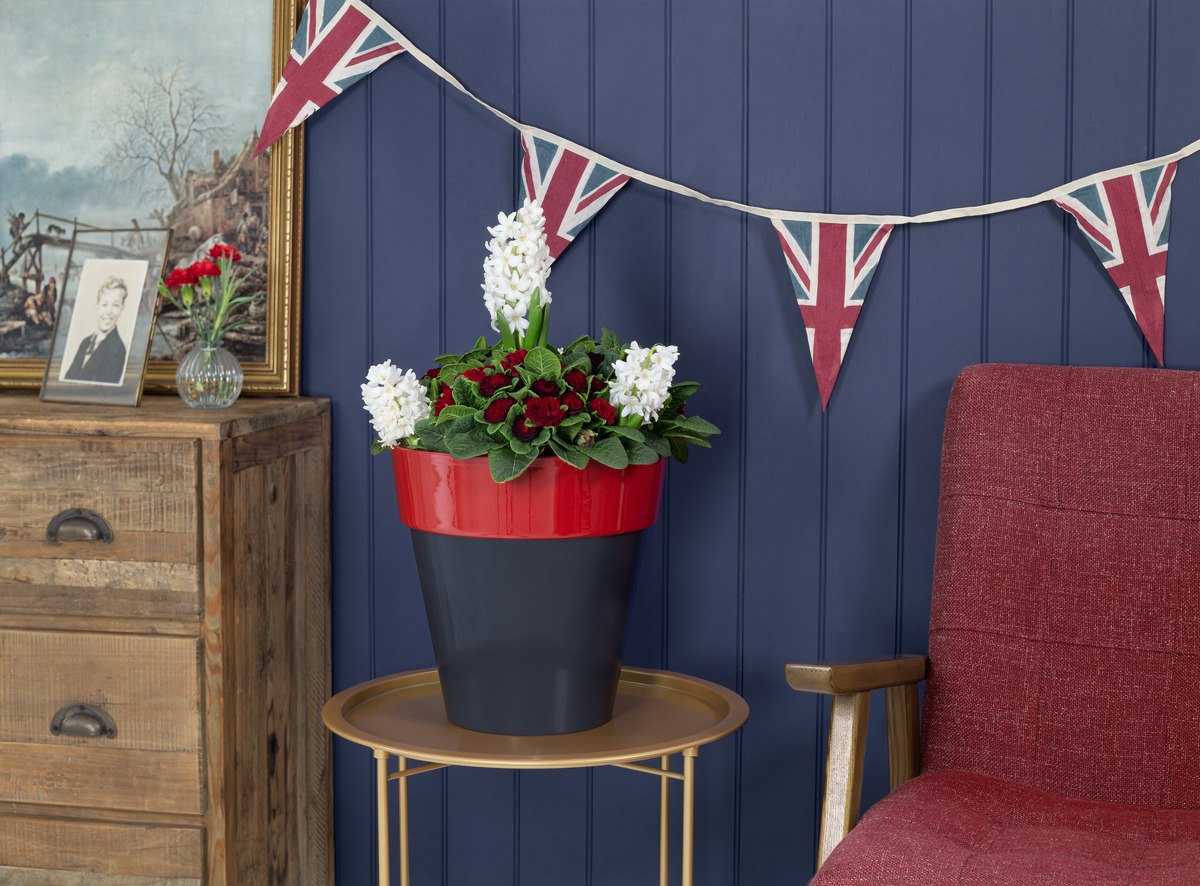 Gardening Advice & Inspiration | Fargro Home and Garden