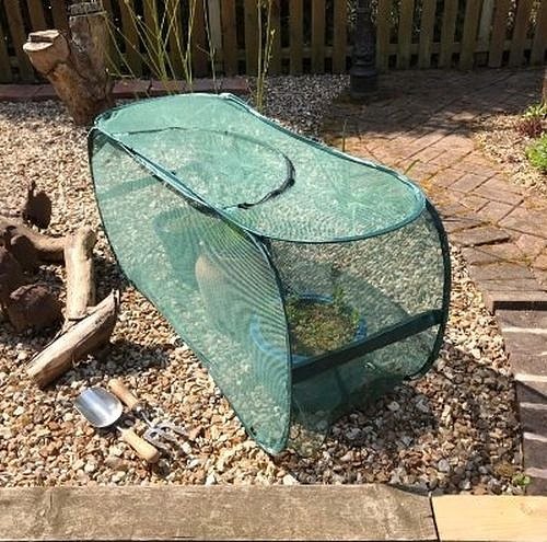 Pop-Up Growbag Net Cage 110cm x 45cm x 55cm, Ultimate Protection for ...