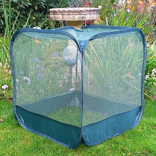 Pop-Up Mini Net Cage 50cm x 50cm x 50cm, Ideal for Protecting ...