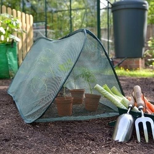 Pop-Up Triangle Net Cloche - Medium